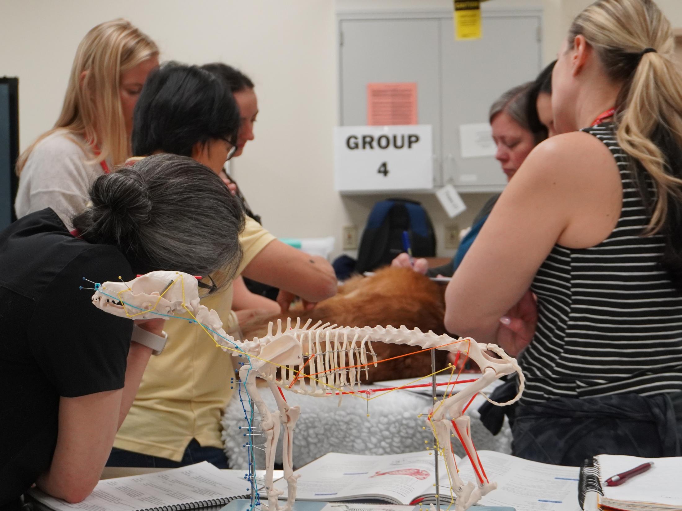 2026 SA CVA Course | Center for Continuing Professional Education (CCPE)